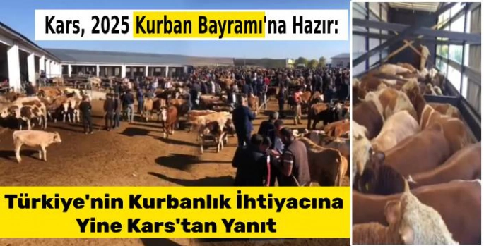 Kars, 2025 Kurban Bayramı'na Hazır: Türkiye'nin Kurbanlık İhtiyacına ...
